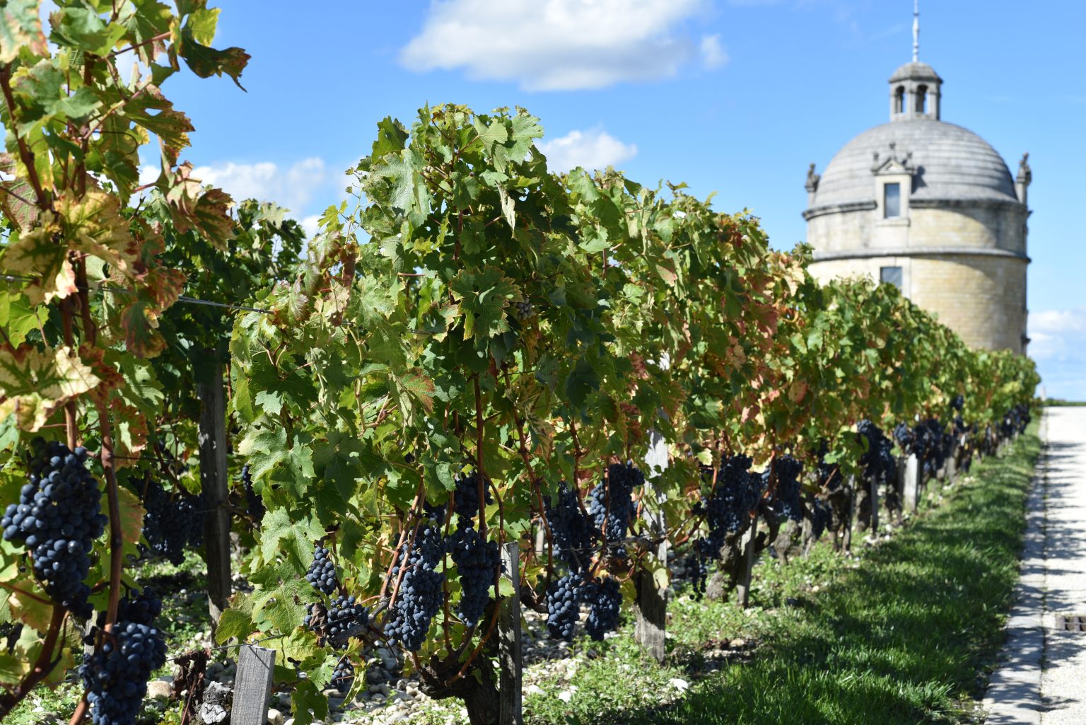 The 1855 Classification. What do you need to know?