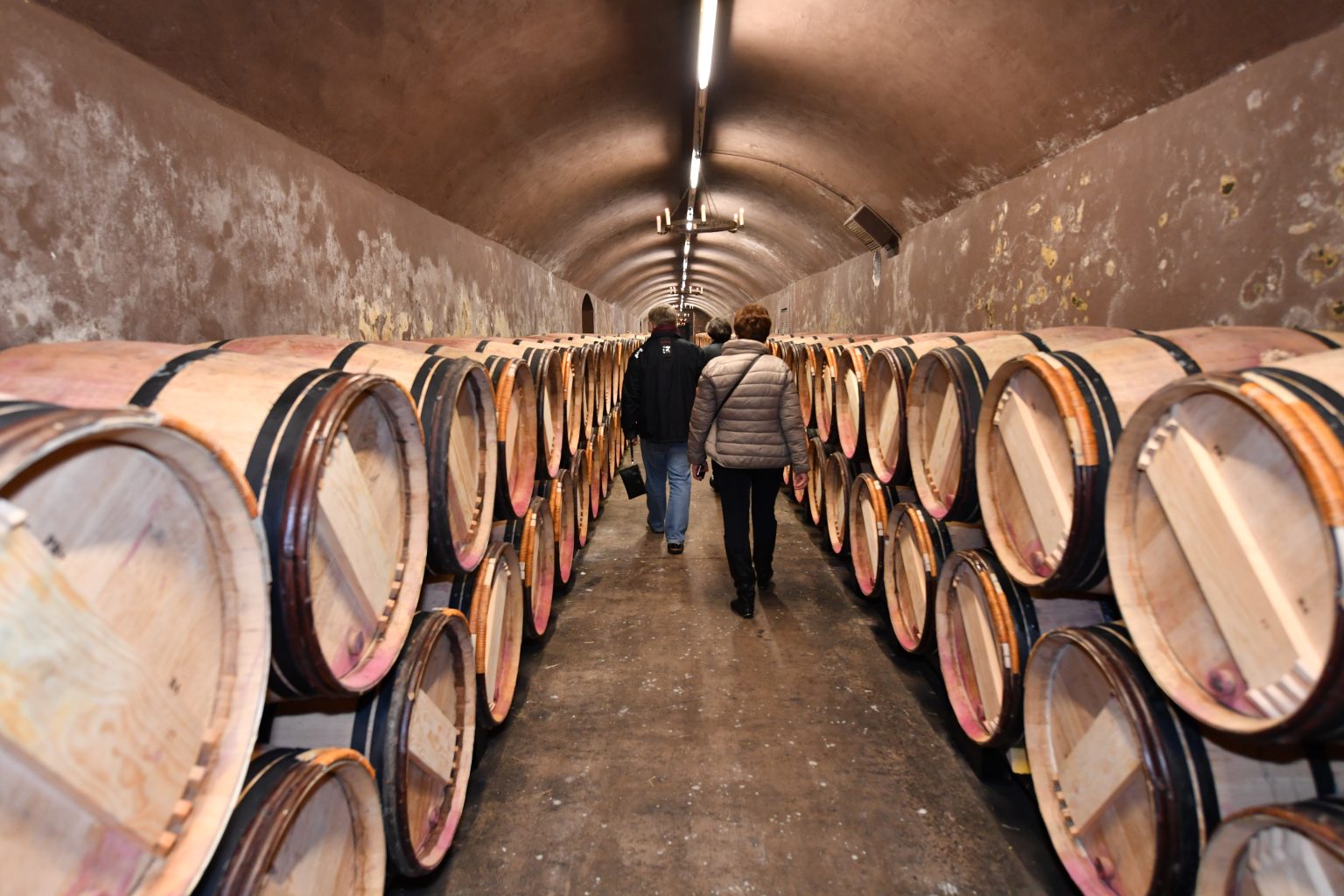 The 1855 Classification. What do you need to know?