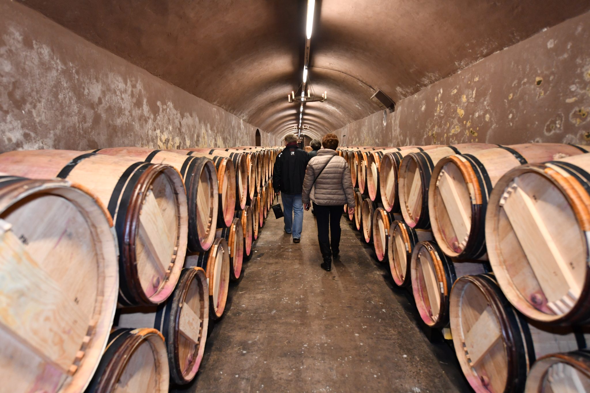 The 1855 Classification. What do you need to know?